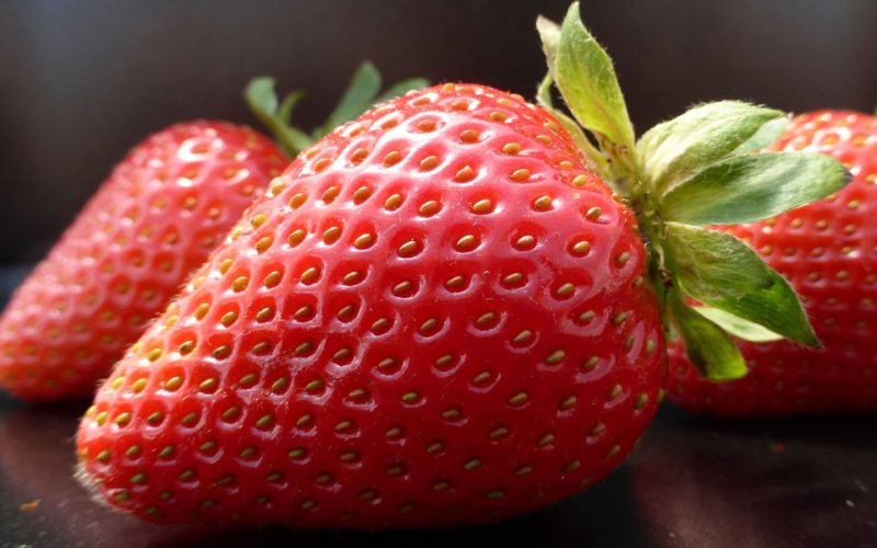 Inicio - Fresas NM - Obtentores de variedades de fresas y frambuesas